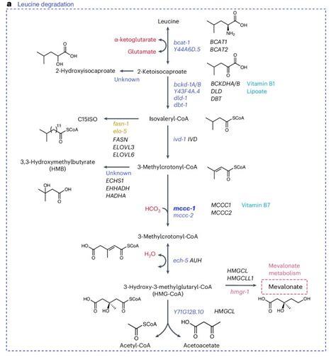 Metabbot Metabolomics On Linkedin Host Microbe Interactions Rewire