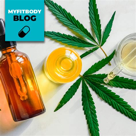 ¿qué Es El Cbd Y Cuáles Son Sus Beneficios Para Los Deportistas