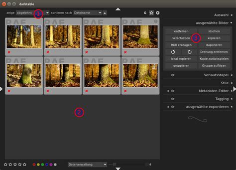 Darktable Praxis Workflow Fotozenz Homede