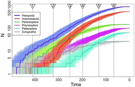 Lineage Y Axis Log Scale Through Time X Axis Ma Plot For The Download Scientific Diagram