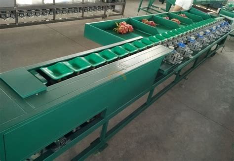 Automatic Potato Weight Grading Sorting Machine Auto Sweet Potatoes Weight Sorter And Grader