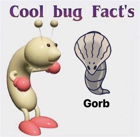 The Coolest Bug Fact Of Them All R Allhailgorb