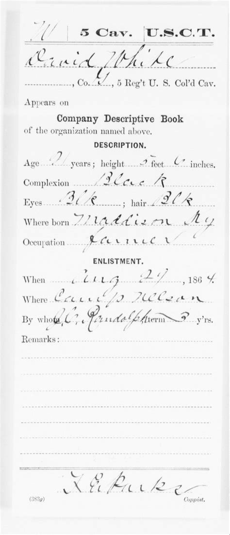 White David Age 21 Year 1864 5th Us Colored Cavalry African