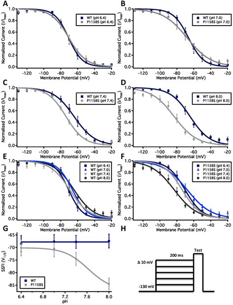 Voltage Dependence Of Steady State Fast Inactivation As Normalized