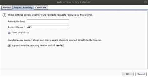burpsuite in ethical hacking tutorial practical guide acte updated