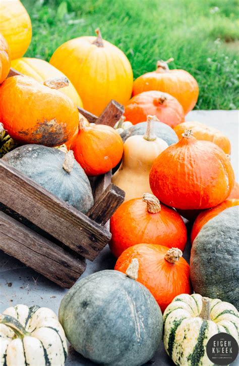 Pompoensoep En Het Herfstfeest Van Eigen Kweek