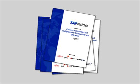 An Introduction To Sap Master Data Governance Mastering Sap