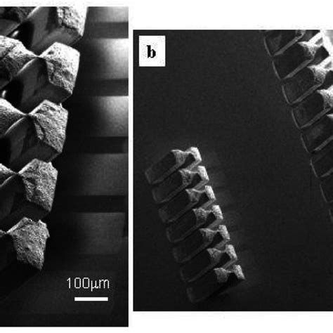 Sem Image Of Single Lens A And E Set Of Lenses B Download