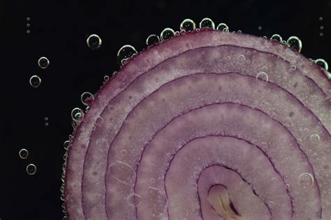 몰입 미하이 칙센트미하이 교수님의 플로우이론 Csikszentmihalyis Flow Theory 네이버 블로그