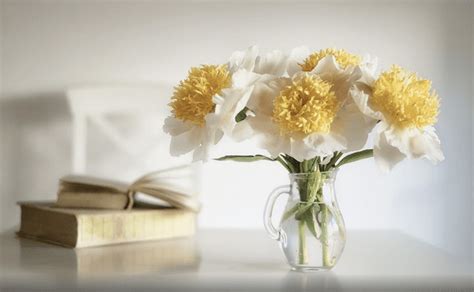 Corona Renderer Tutorial Depth Of Field