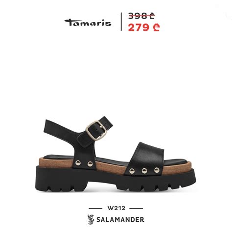 Salamander Salamander Georgia სალამანდრა საქართველო