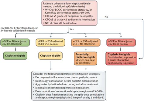 Proposed Algorithm For Determining Eligibility For Neoadjuvant