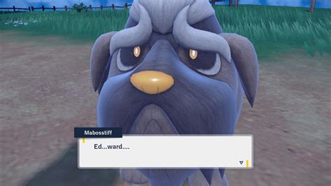 no no no no no wait wait wait wait wait r pokemonmemes