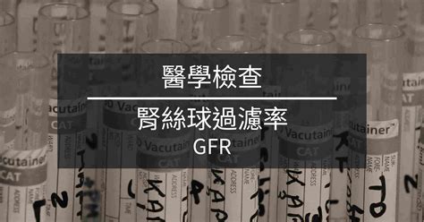 腎絲球過濾率是什麼過低腎臟警訊應該怎麼辦 李思誠腎臟中醫師