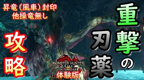 【mhrs体験版】重撃の刃薬を用いたメルゼナ攻略【mhサンブレイク】 Youtube