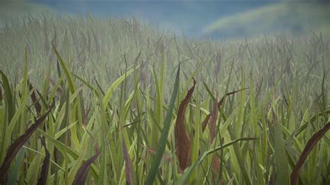 3d Model Unity Grass Collection V1 Vr Ar Low Poly Cgtrader