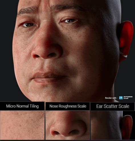 Character Creator Auto Setup For Ds Max Arnold V Ray