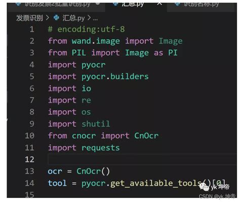 基于python的发票识别与机器学习（保姆式教程）基于pytorch发票识别 Csdn博客