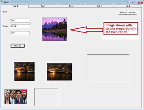 Runtime Error When Trying To Resize A Png Picture Vbforums