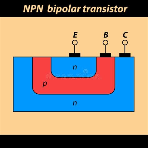 npn双极晶体管 向量例证 插画 包括有 黄色 晶体管 生物 部分 要素 简单 根据 设备 85962185