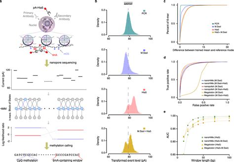 Schematic And The Performance Of NanoHiMe Seq A The Steps In