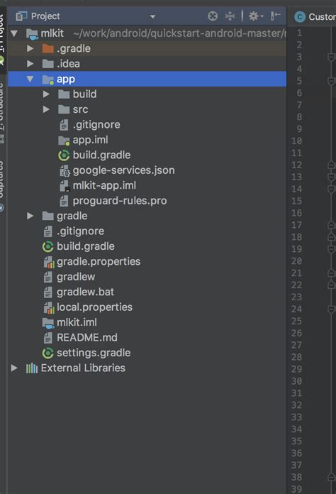 Ml Kit For Firebaseを使ってスマホで色々検出してみた Developersio