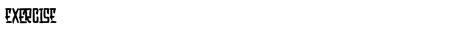 Exercise Font Webfont And Desktop Myfonts