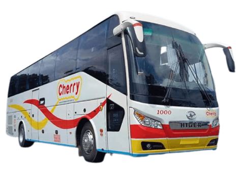 Home Cherry Bus Palawan