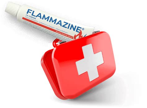 Accueil Flammazine®