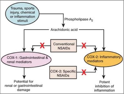 Nonsteroidal Anti Inflammatory Drugs Anesthesia Key