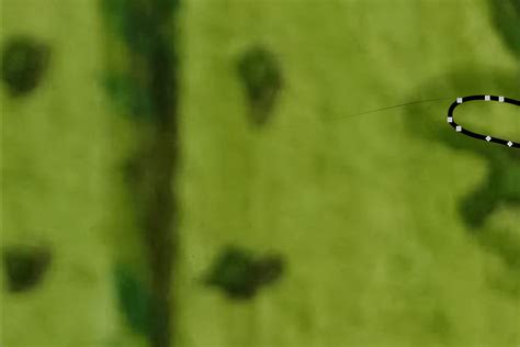 Glitch Or Am I Doing Something Wrong Help Rinkscape