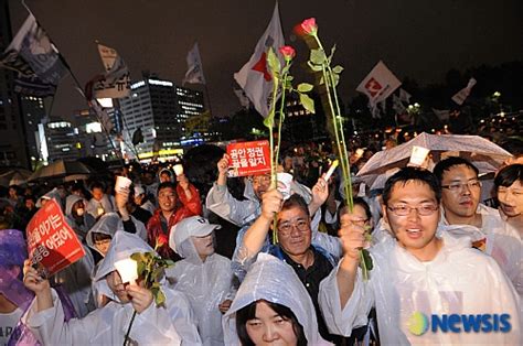 붉은 장미를 든 촛불 문화제
