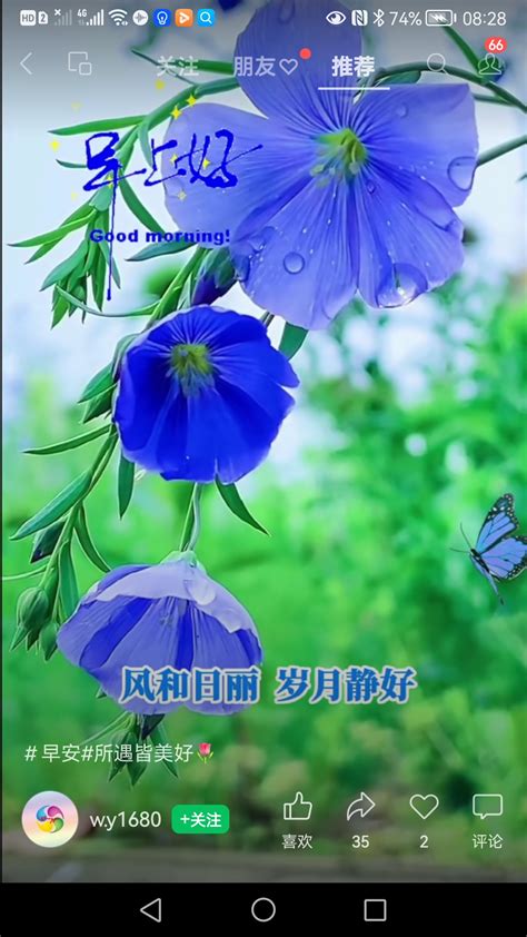牛市伊始万木逢春 财富号 东方财富网