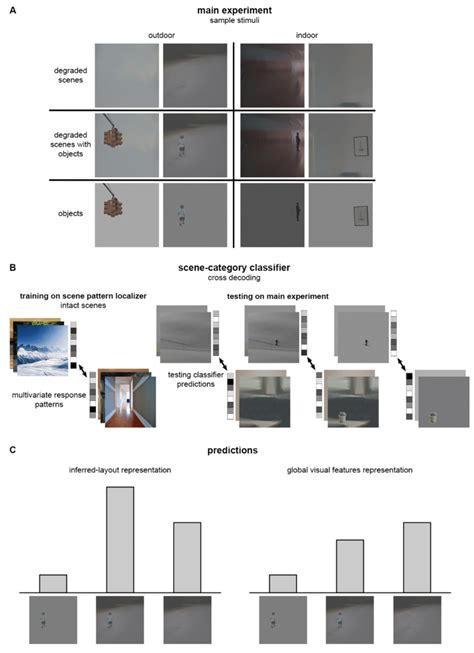 Experimental Design And Predictions A Sample Stimuli Of The Main