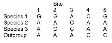 Solved What Is The Most Parsimonious Phylogentic Tree Given Chegg