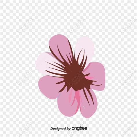 Exquisite Flower Pattern Vector Border Design Free Downloadflower Illustrationdecorative