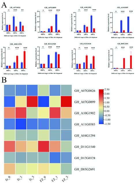 Rna Seq Results Were Confirmed Using Qrt Pcr Experiments A Qrt Pcr