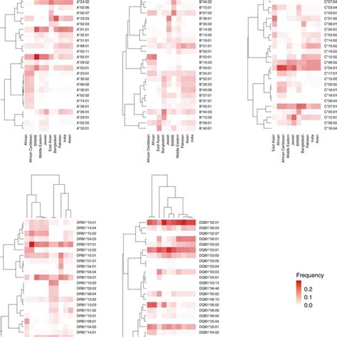Visualisation Of Hla‐a ‐c ‐b ‐drb1 ‐dqb1 Allele Sharing Patterns In Download Scientific
