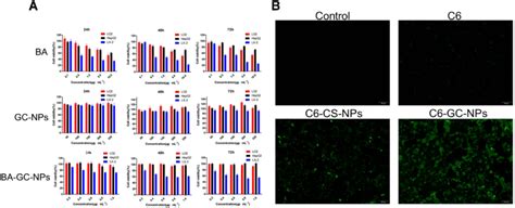 A Cytotoxicity Of Ba Gc Nps And Ba Gc Nps On Hepg2 Lx 2 And Lo2