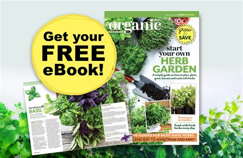 Grow Fresh Herbs With Our Free Guide Abc Organic Gardener Magazine