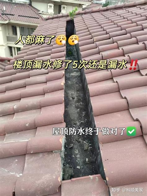 屋顶漏水修了5次防水终于做对了 知乎