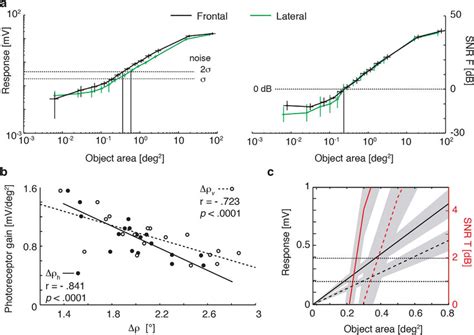 Measures Of Object Detectability Thresholds For Single Photoreceptors