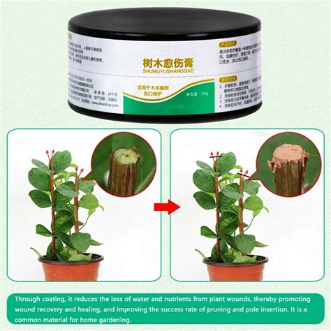 Sellador Curativo Para Plantas Agente Curativo Para Heridas De Bonsái