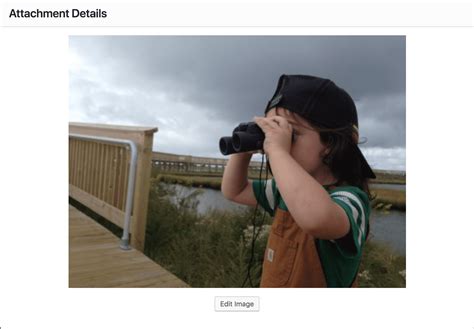 How To Crop An Image Using Wordpress Default Functionality