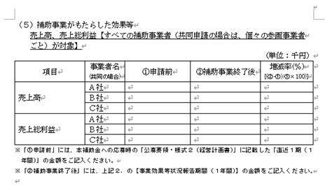 補助金事業効果等状況報告書の書き方考え方のポイントコロナ特別対応型一般型 小規模企業が補助金と融資で事業拡大へ 資金調達はマイクリエイト