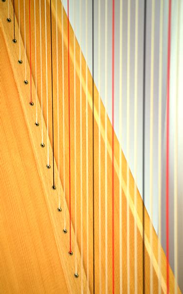 Harp Strings The Enchanted Harp