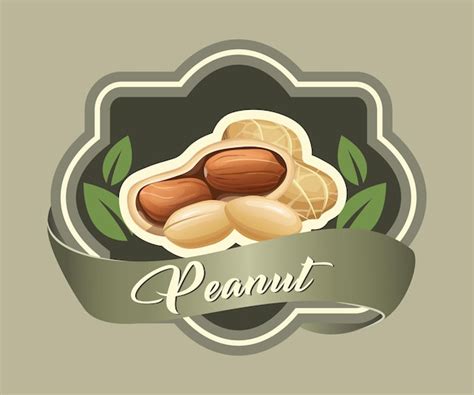Premium Vector Peanut Vector Sticker