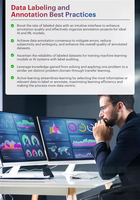 What Is Data Labeling And Annotation In Business And Ai