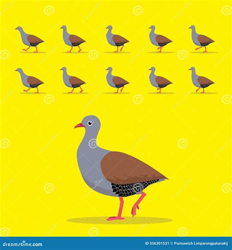 Animal Animation Sequence Various Rabbit Cartoon Vector Moving Set 1