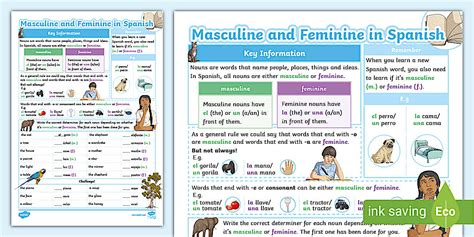 Spanish Masculine And Feminine Gender Worksheet Twinkl